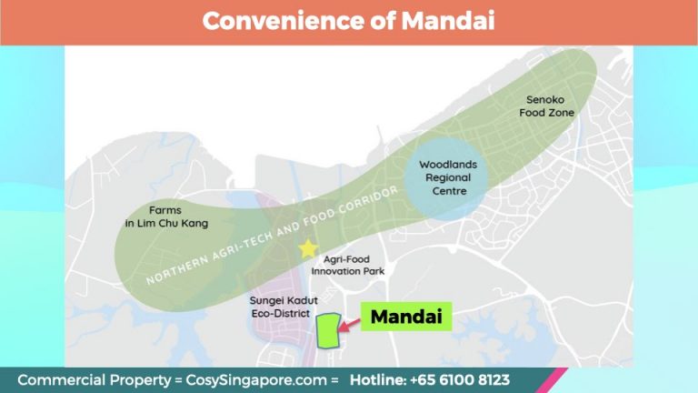 Sungei Kadut Transformation Into An Eco-District Singapore